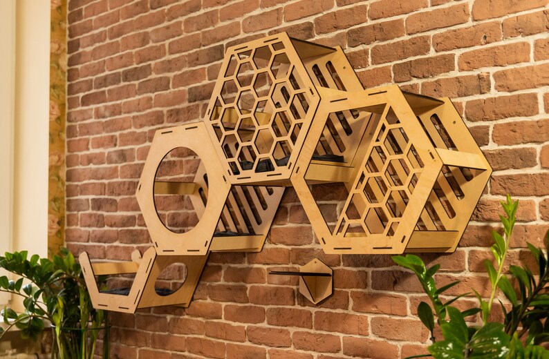 Hexagon Cat Wall Shelves & Cat Wall Steps, Cat Wall Tree With ...