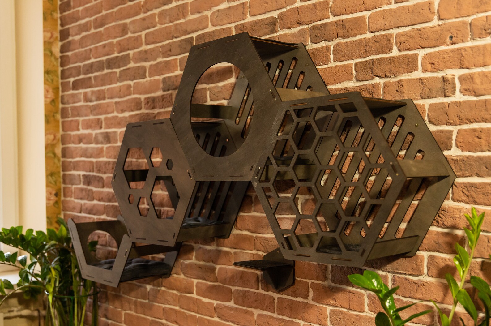 Hexagon Cat Wall Shelves & Cat Wall Steps, Cat Wall Tree With ...