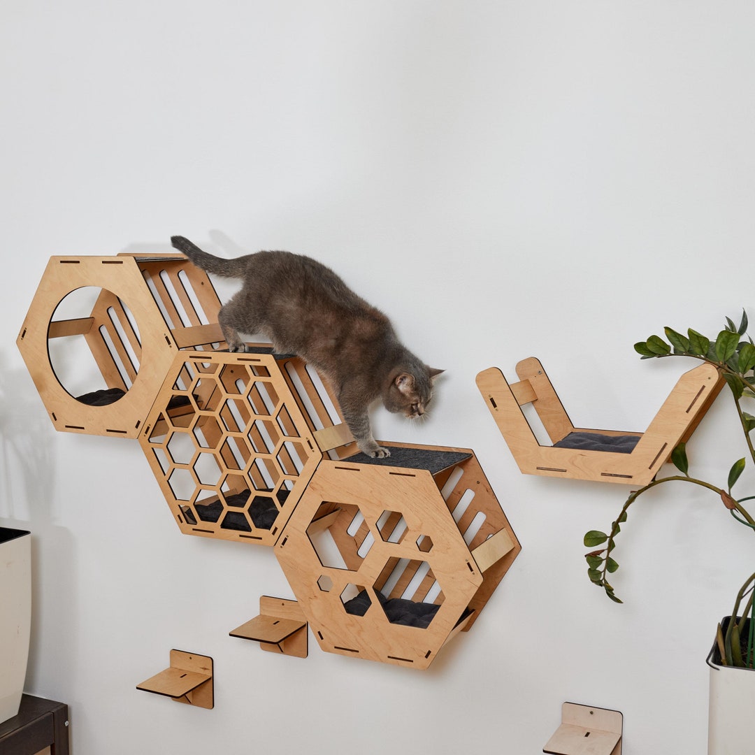 Hexagonal Cat Wall Shelves, Modular Cat Furniture, Wooden Cat Climbing ...