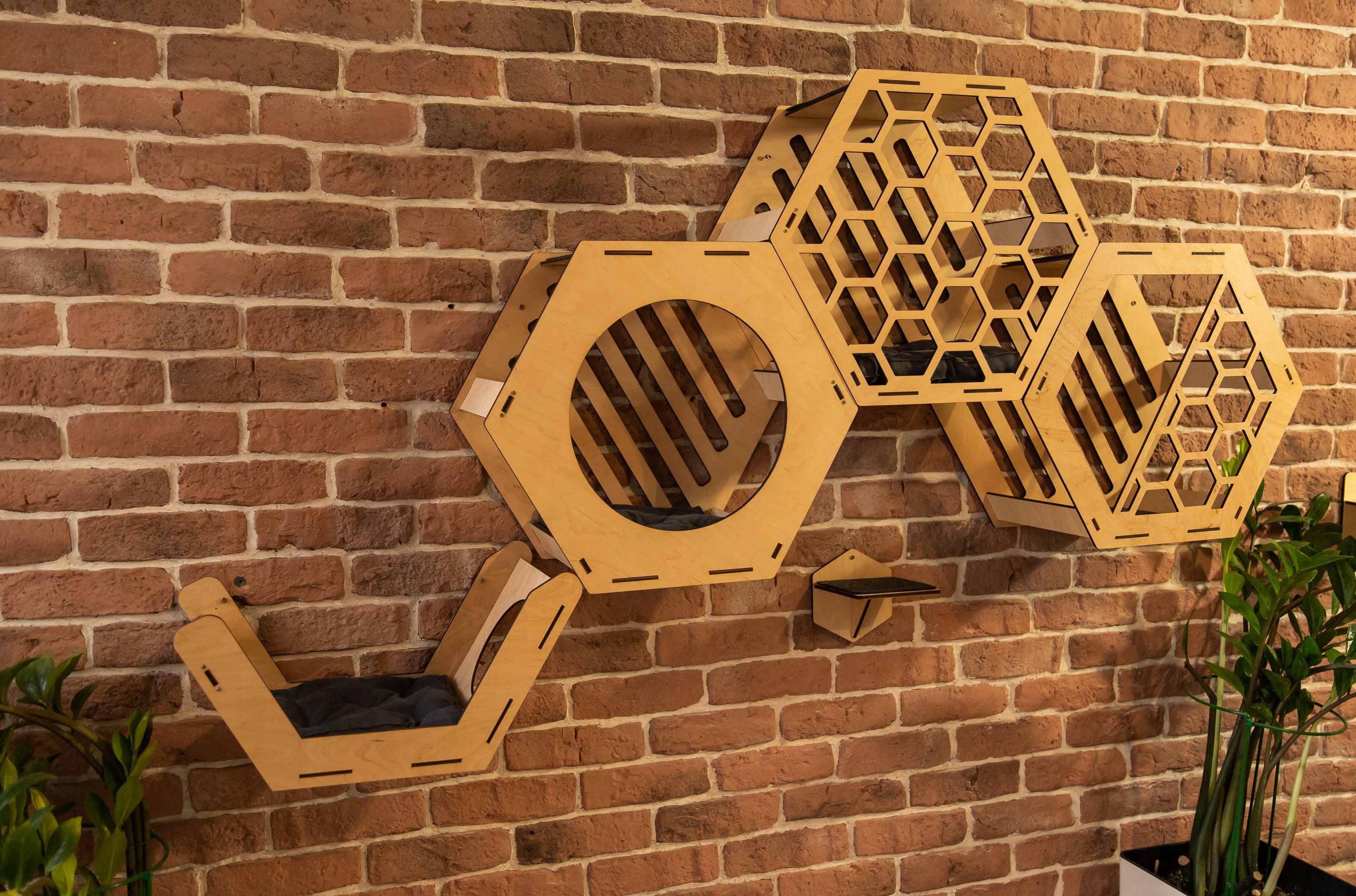 Hexagon Cat Wall Shelves & Cat Wall Steps, Cat Wall Tree With ...