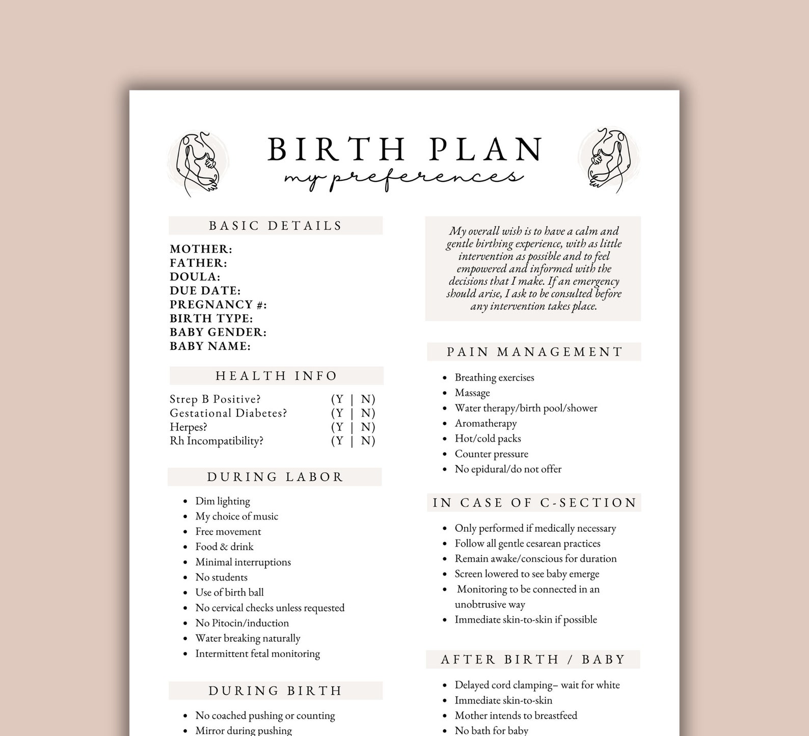 1-page Birth Plan Template, Birth Plan Printable, Printable Birthing ...