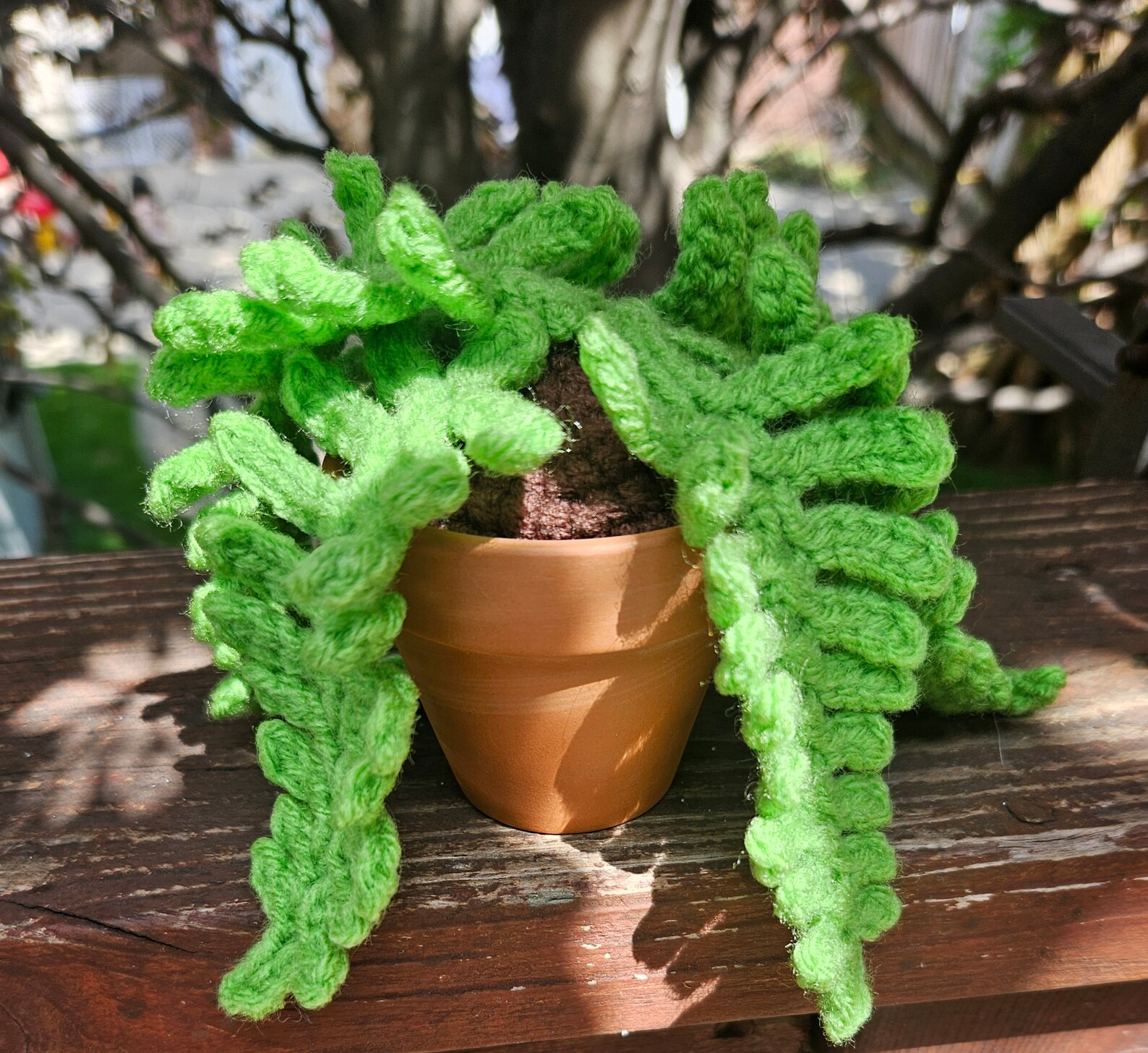 Crochet Fern Pattern - Etsy