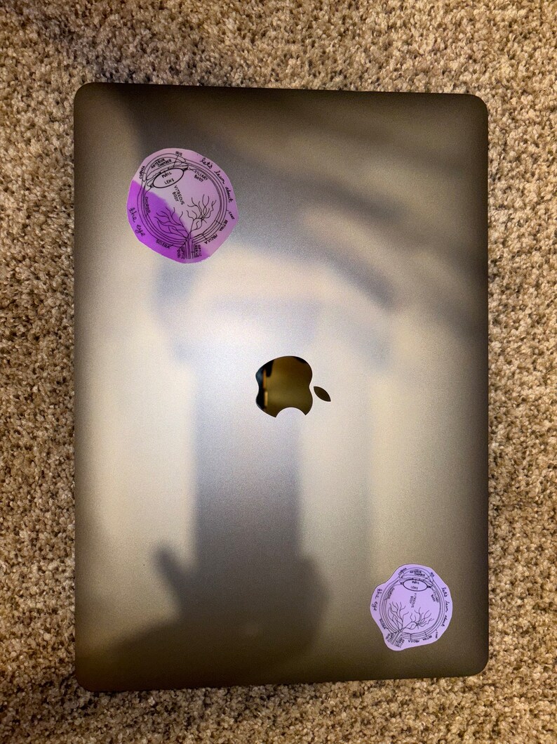 Optometry Opthamalogy Anatomy of the Eye Drawing With Labels Sticker - Etsy