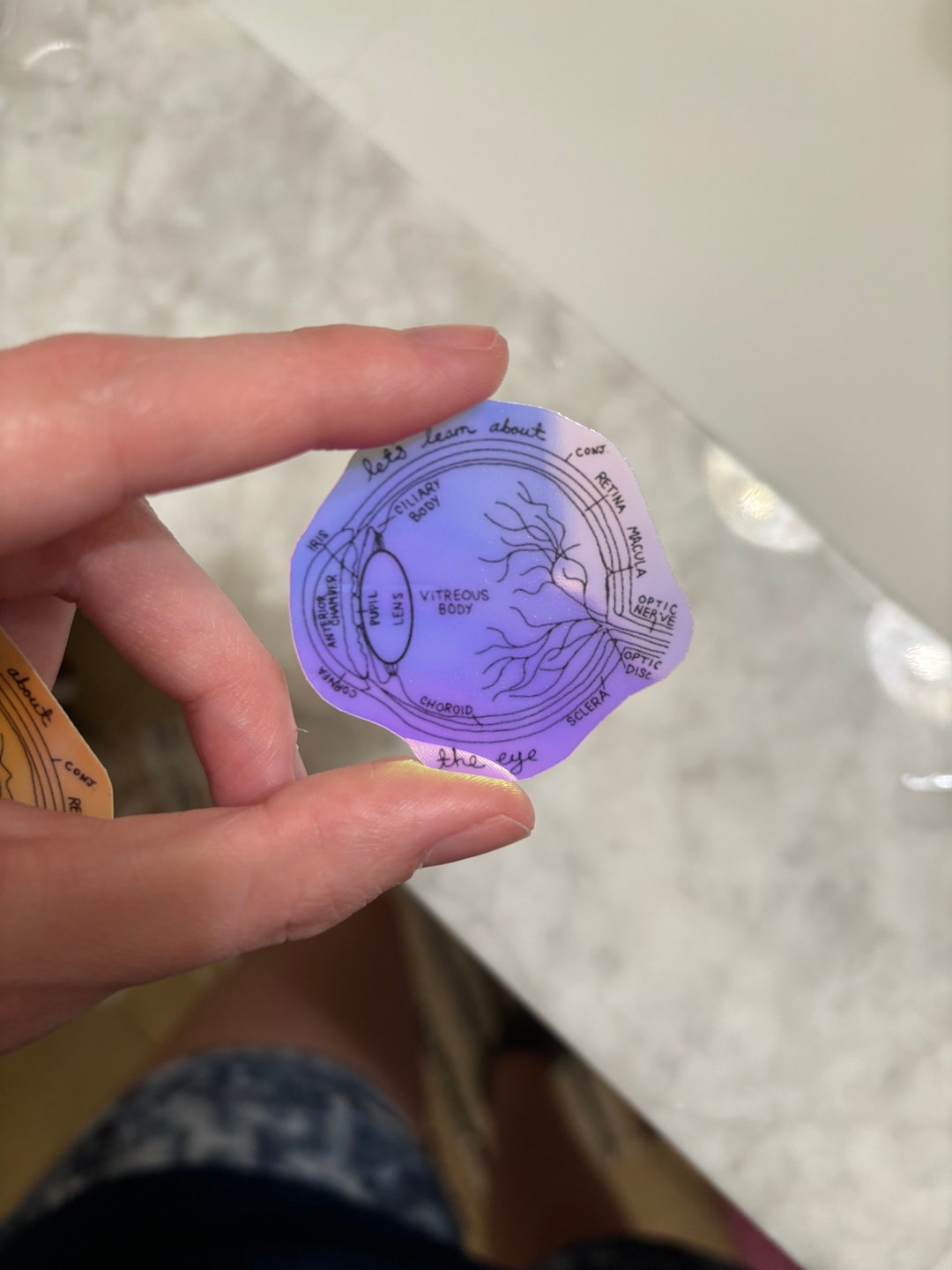 Optometry|| Opthamalogy|| Anatomy of the Eye Drawing With Labels ...