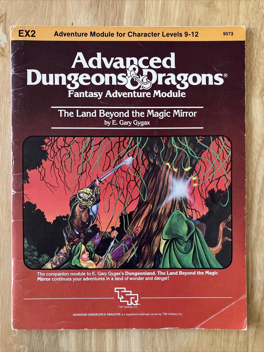 The Land Beyond the Magic Mirror (advanced Dungeons & Dragons, Module ...