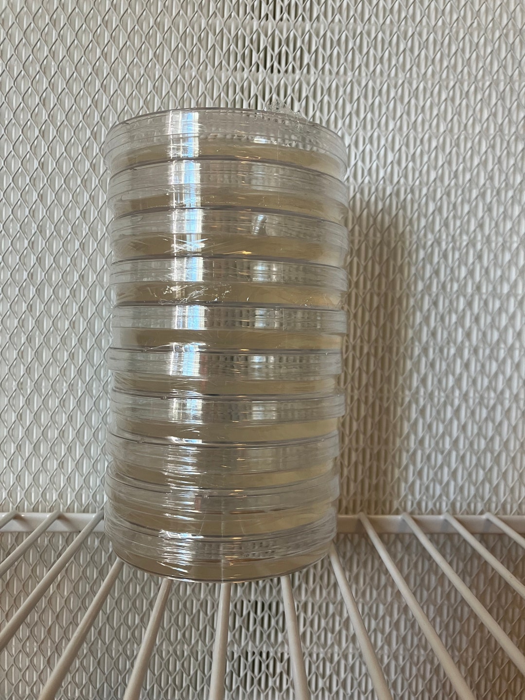 10 Gellan Gum Petri Plates. - Etsy