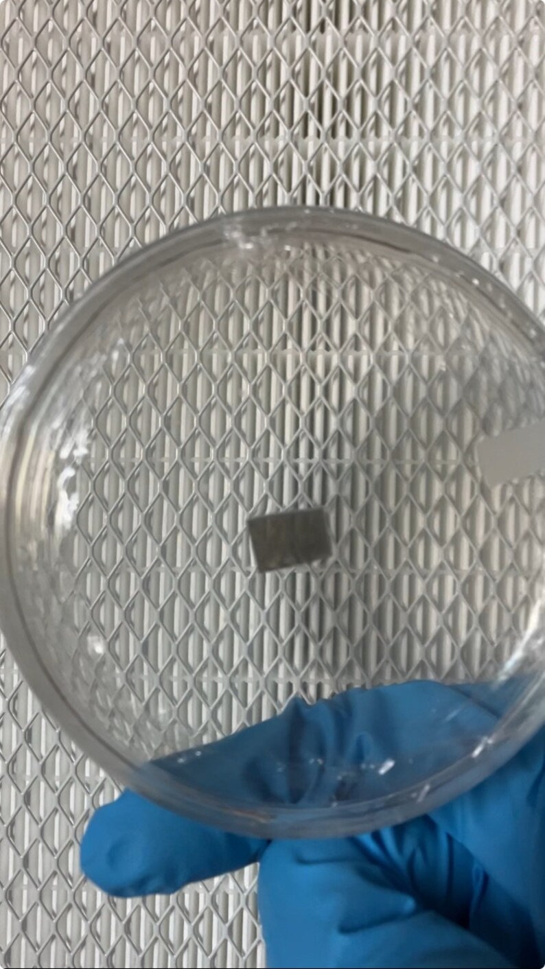 10 Gellan Gum Petri Plates. - Etsy