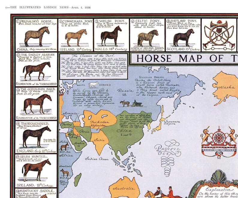 Horse Map of the World, 1934 | 30x21" Big Size | Breeds | Vintage Wall ...