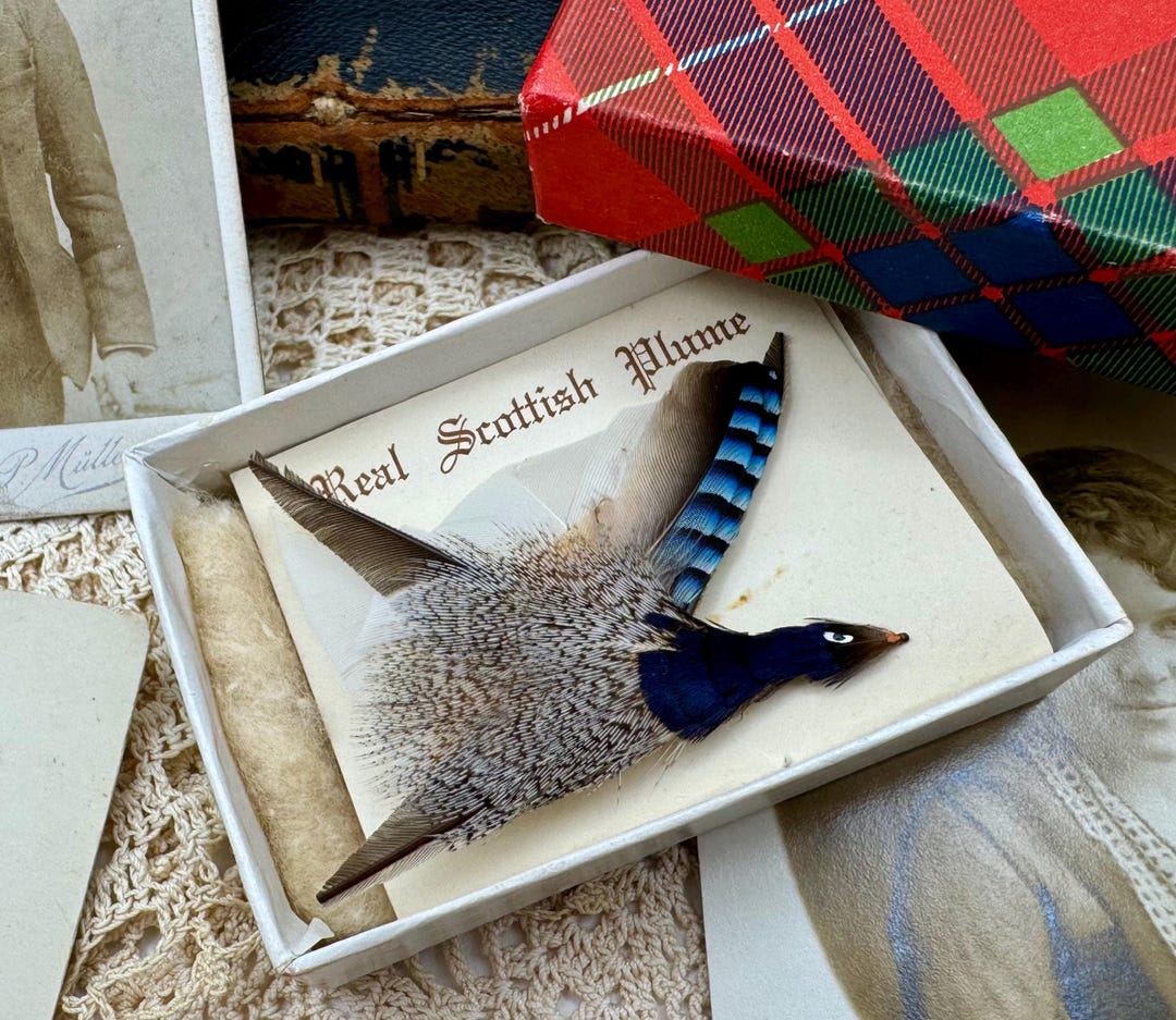 Vintage Scottish Kilt Pin / 1950s Real Scottish Plume / From Stornaway ...