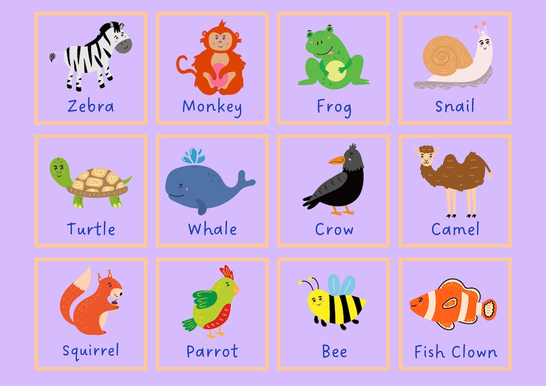Fun Educational Animal Flash Cards for Children ( Hands on Learning ...