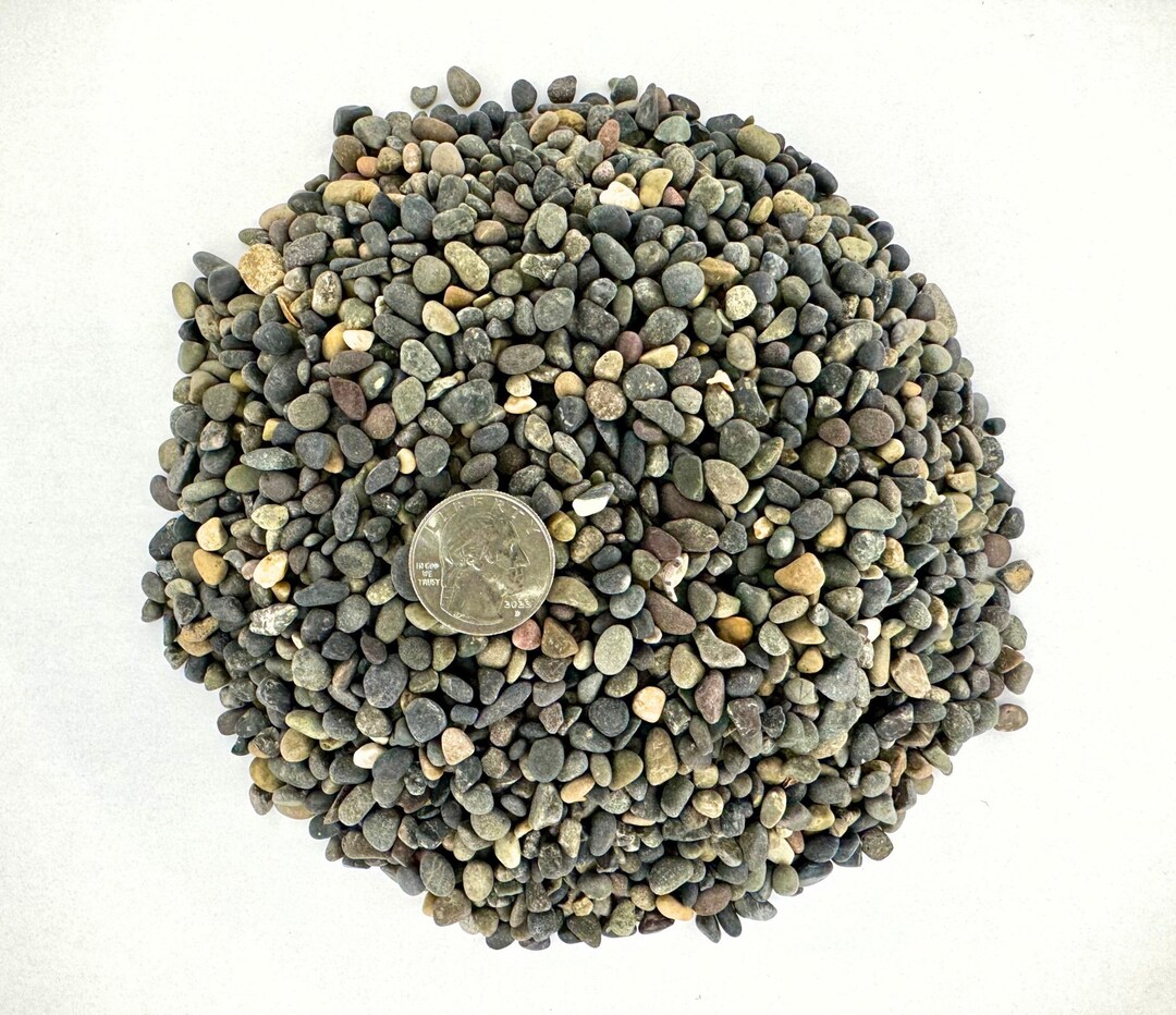 Natural Hand Picked Mixed Mexican Beach Pebbles, 1/8"-1/4", Decorative ...