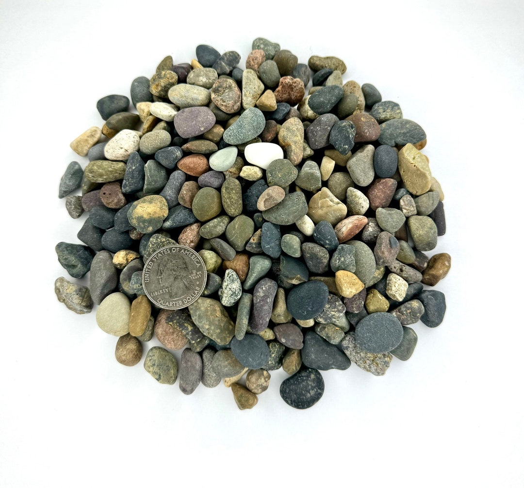 Natural Hand Picked Mixed Mexican Beach Pebbles, 1/4"-1/2", Decorative ...