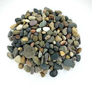 Natural Hand Picked Mixed Mexican Beach Pebbles, 1/4"-1/2", Decorative ...