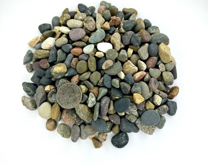 Polished Rocks - Tumbled Beach Stones for Vase Fillers - Etsy