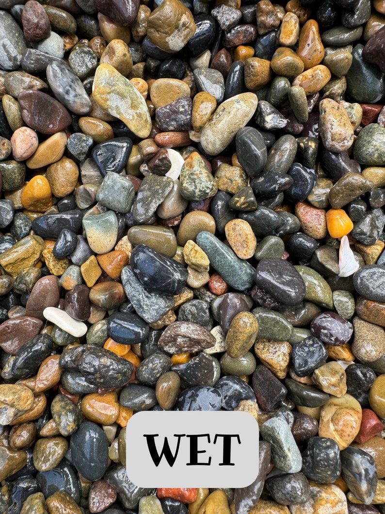 Natural Hand Picked Mixed Mexican Beach Pebbles, 1/4"-1/2", Decorative ...