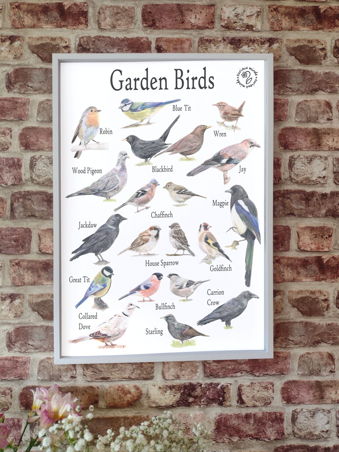 English and Welsh Garden Birds A2 Poster, Common Names, British Garden ...