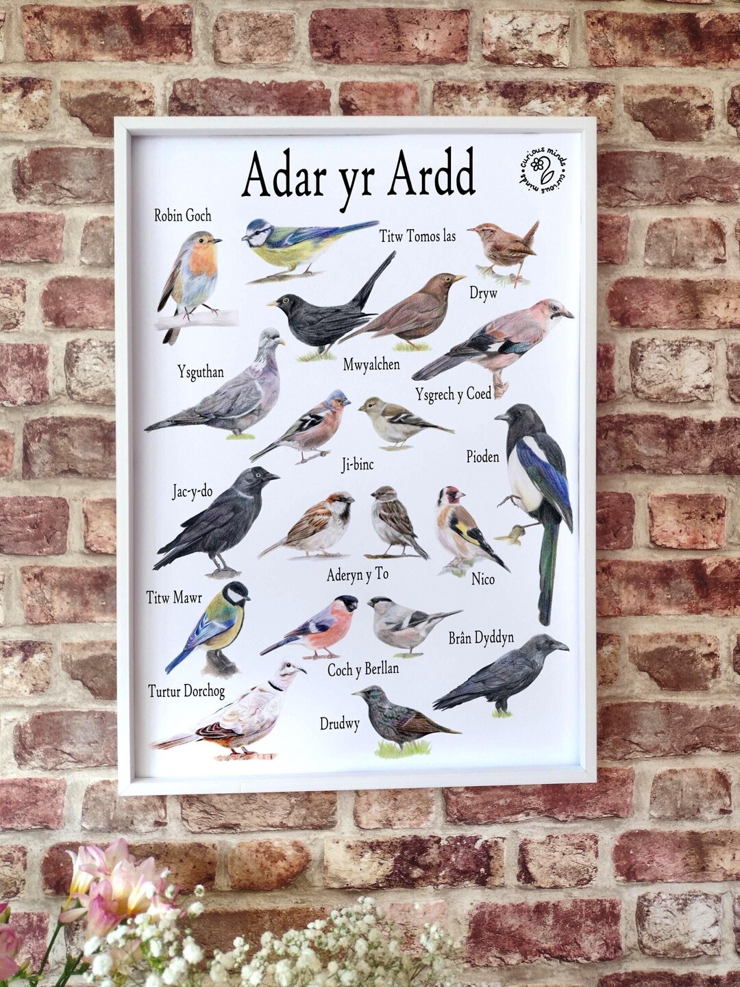 Welsh Language Garden Birds A2 Poster, Welsh Names, Welsh Art Print ...