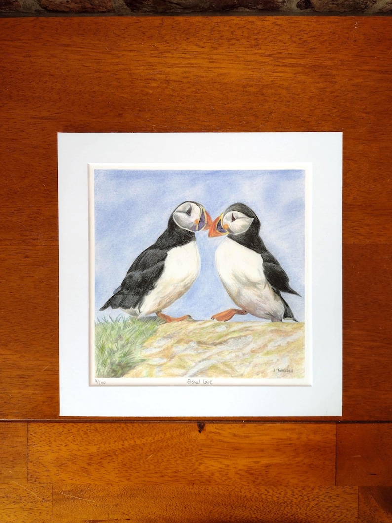 Puffin Love Birds Giclee Art Print: British Seabird Wall Art - Etsy UK