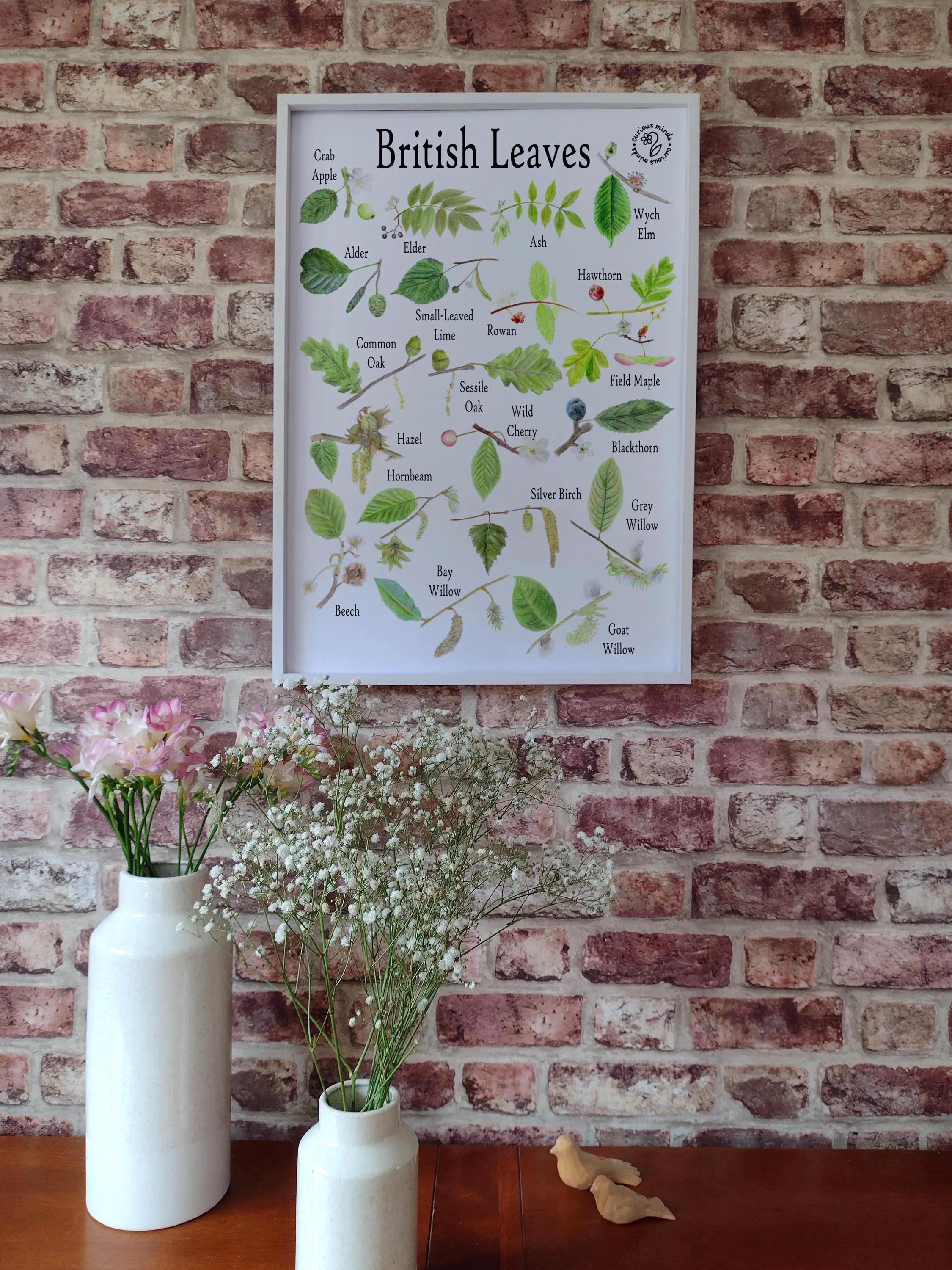 A2 Leaf Poster, Common Names, British Trees Identification Chart ...