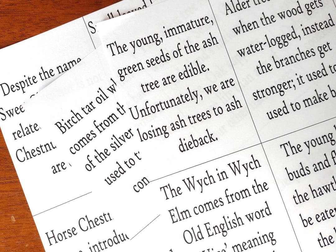 British Tree Information Cards: Forest School Nature Study, Fact Cards ...