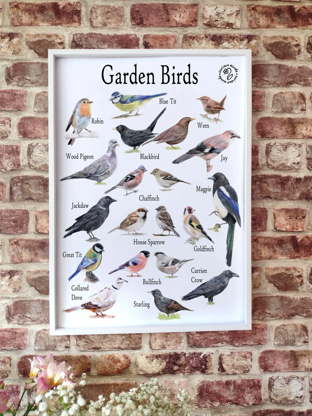 Garden Birds A3 Poster, Common Names, British Garden Birds ...