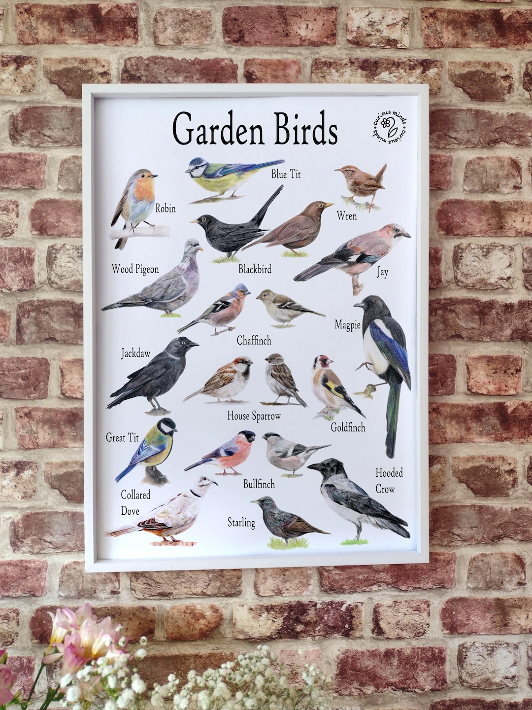 Garden Birds A2 Poster, Common Names, British Garden Birds ...