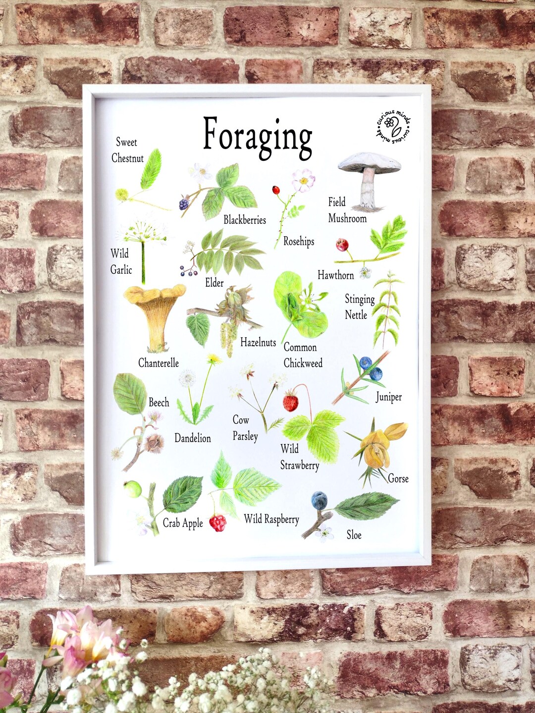 Foraging Poster: Edible Wild Plants Botanical Art Print - Etsy