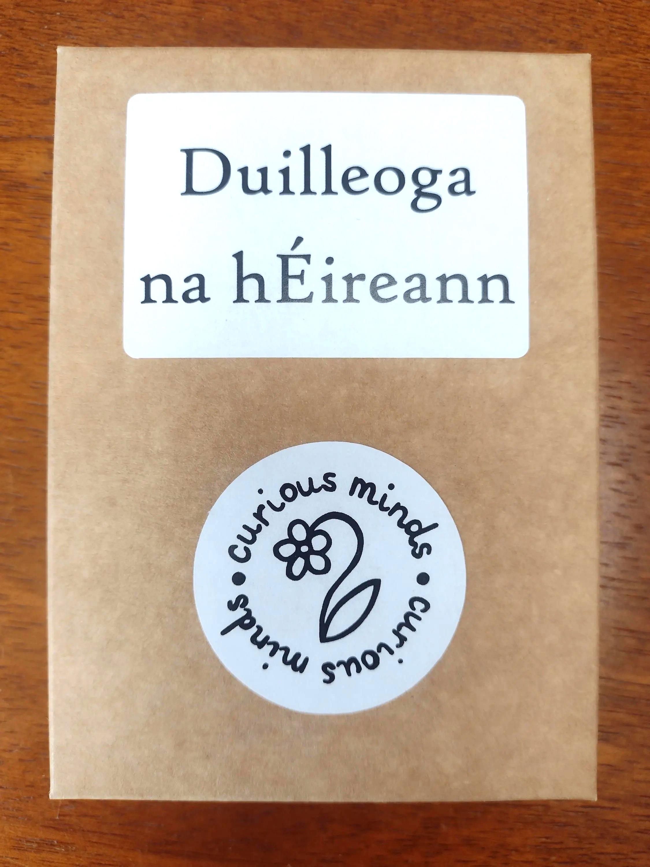 Irish Language Tree Flashcards: Leaf Identification, Forest School - Etsy