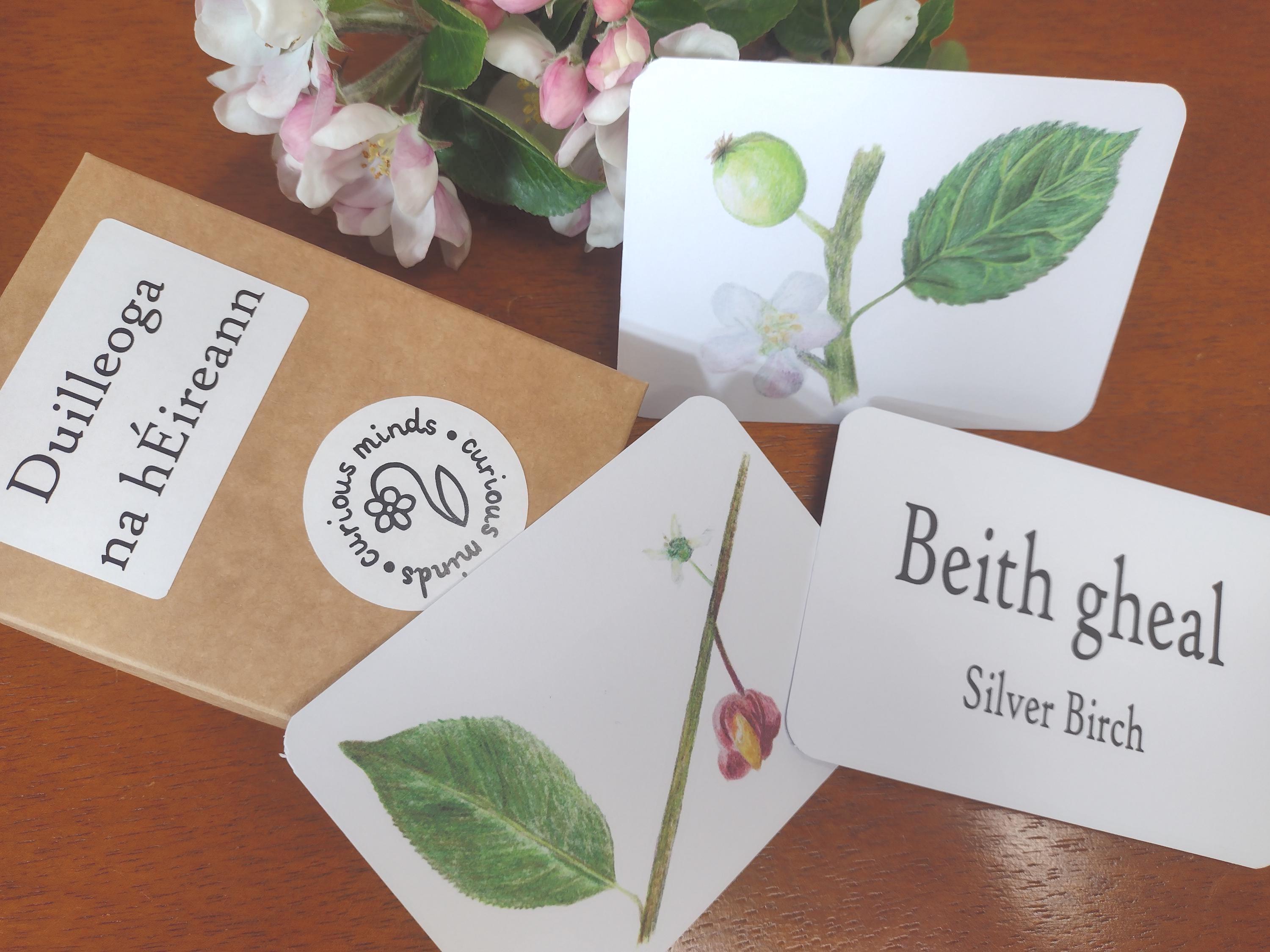 Irish Language Tree Flashcards: Leaf Identification, Forest School - Etsy