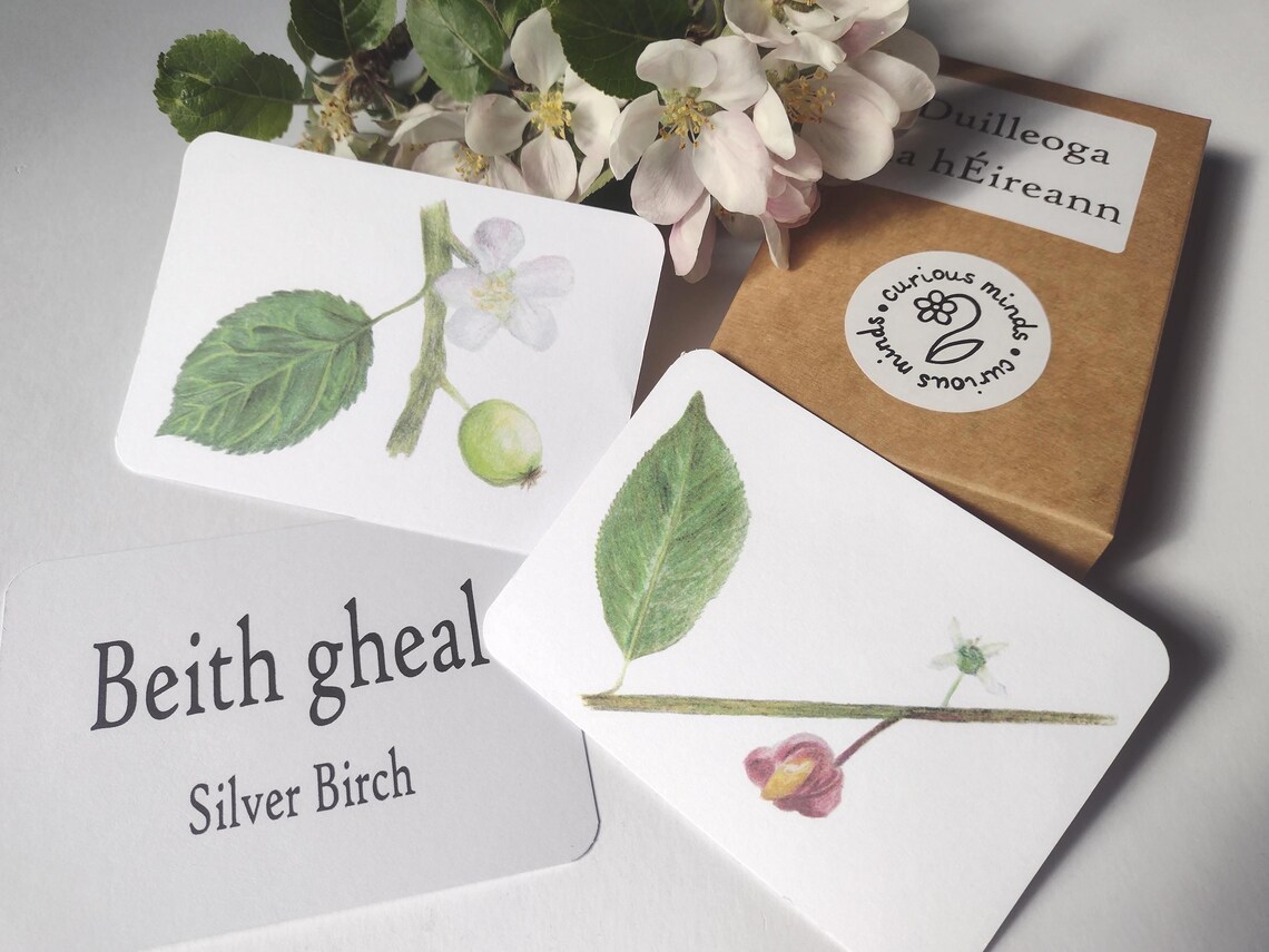 Irish Language Tree Flashcards: Leaf Identification, Forest School - Etsy