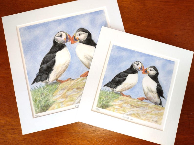 Puffin Love Birds Giclee Art Print: British Seabird Wall Art - Etsy UK