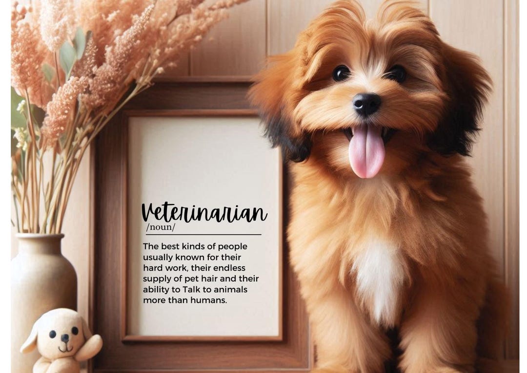 Veterinarian Wall Art Funny Definition Digital Download Job Work Gift ...