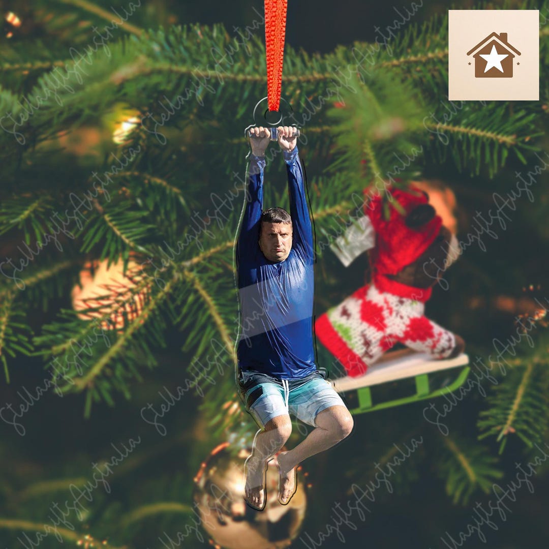 Robinson on a Zipline ITYSL Funny Meme Gift Christmas Tree Ornament 2D ...