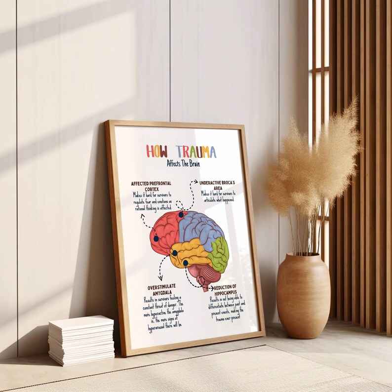 How Trauma Affects the Brain, Human Brain Poster, Therapy Office Decor ...