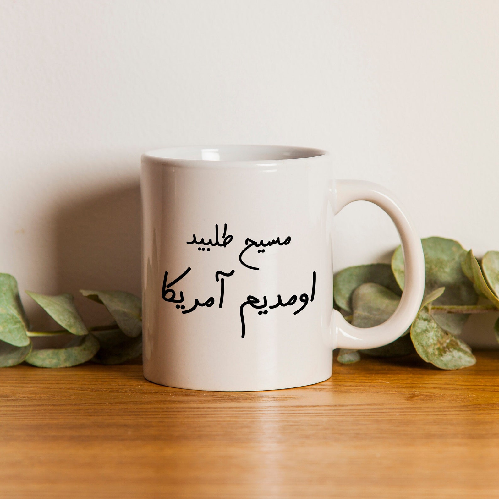 Funny Persian Coffee Mug / ماگ دستنویس فارسی مسیح طلبید اومدیم آمریکا ...