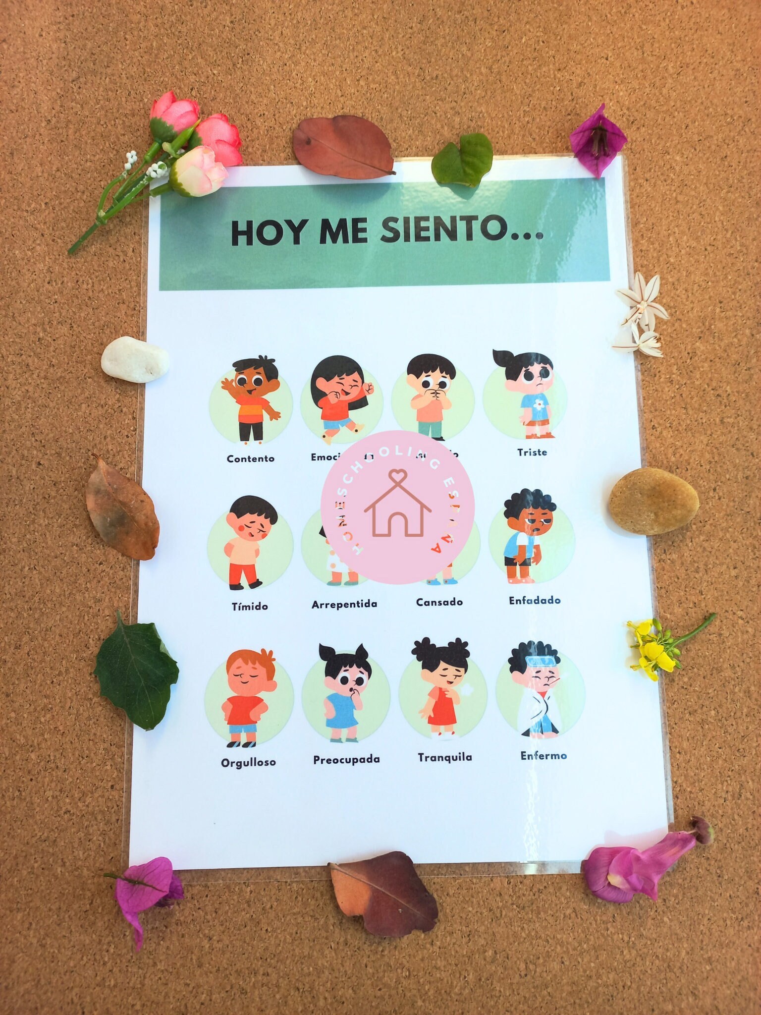 Cartel de las emociones / cartel didáctico educacion emocional ...