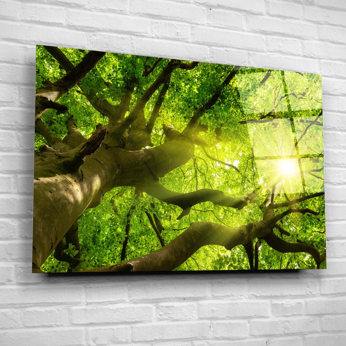 Art of Landscape green Forest, Glass Wall Decor, Tempered Glass, Large ...