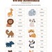 Let's Get to Know Animals - Etsy