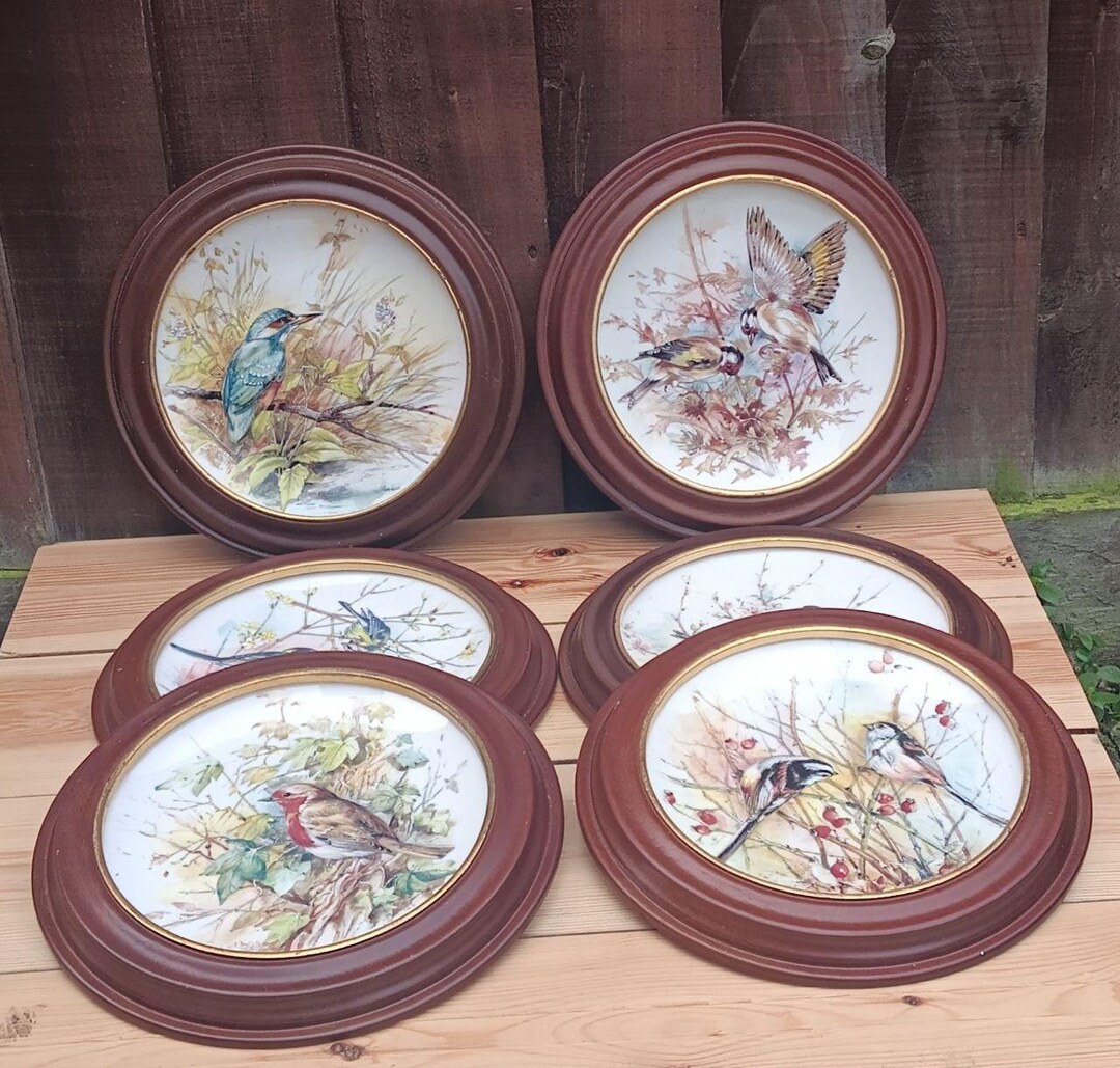 Plates Collection of British Garden Birds – Claymore Ceramics ...