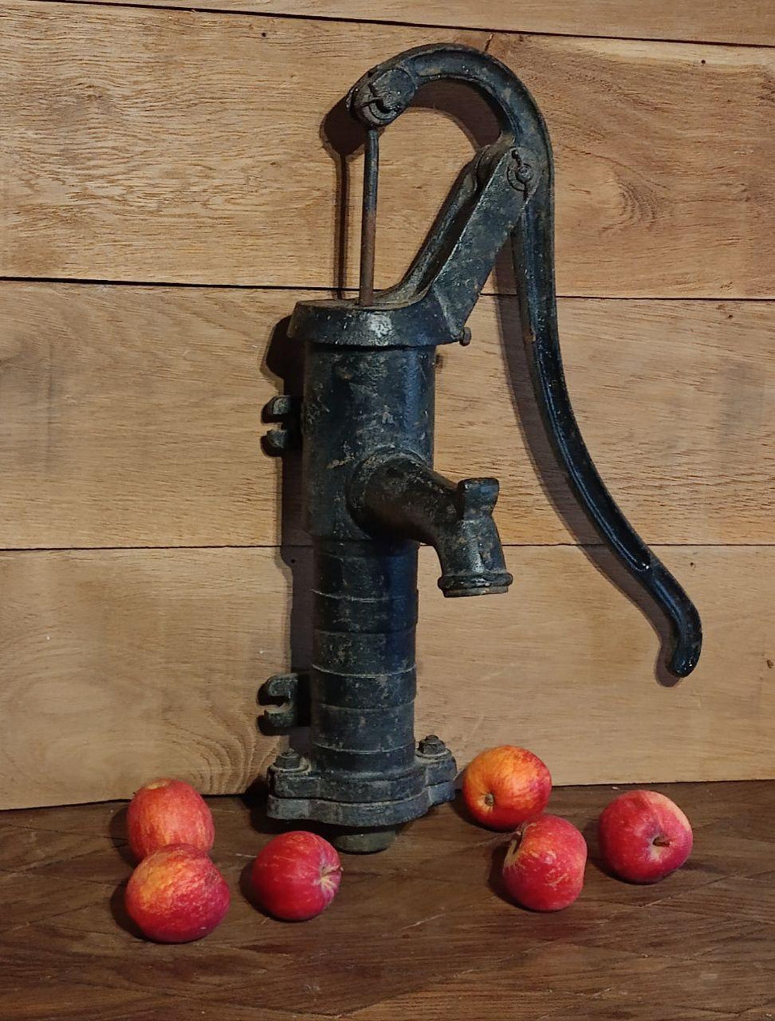 Vintage Cast Iron Water Hydrant Pump Mid Century, Antique French Cast ...