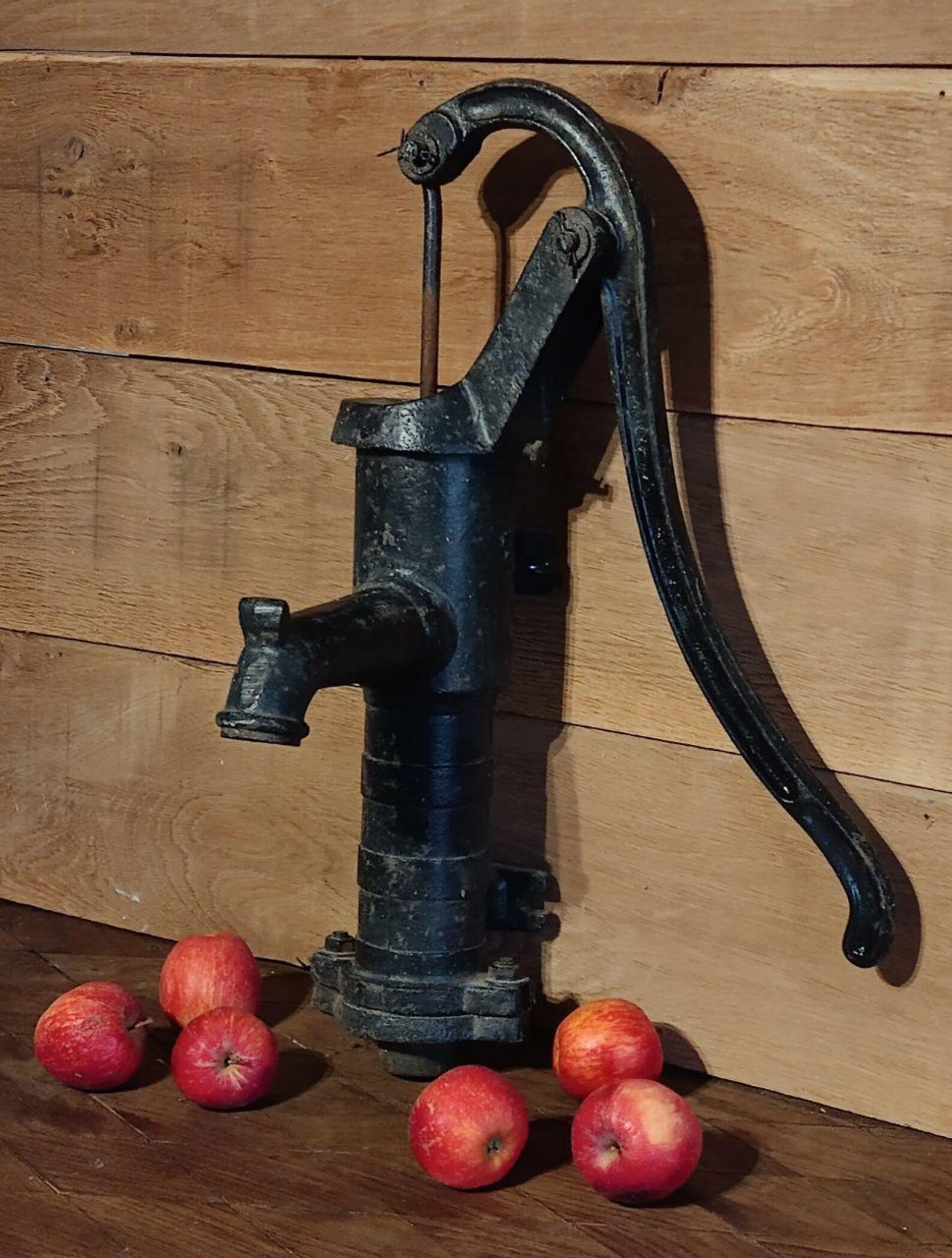 Vintage Cast Iron Water Hydrant Pump Mid Century, Antique French Cast ...