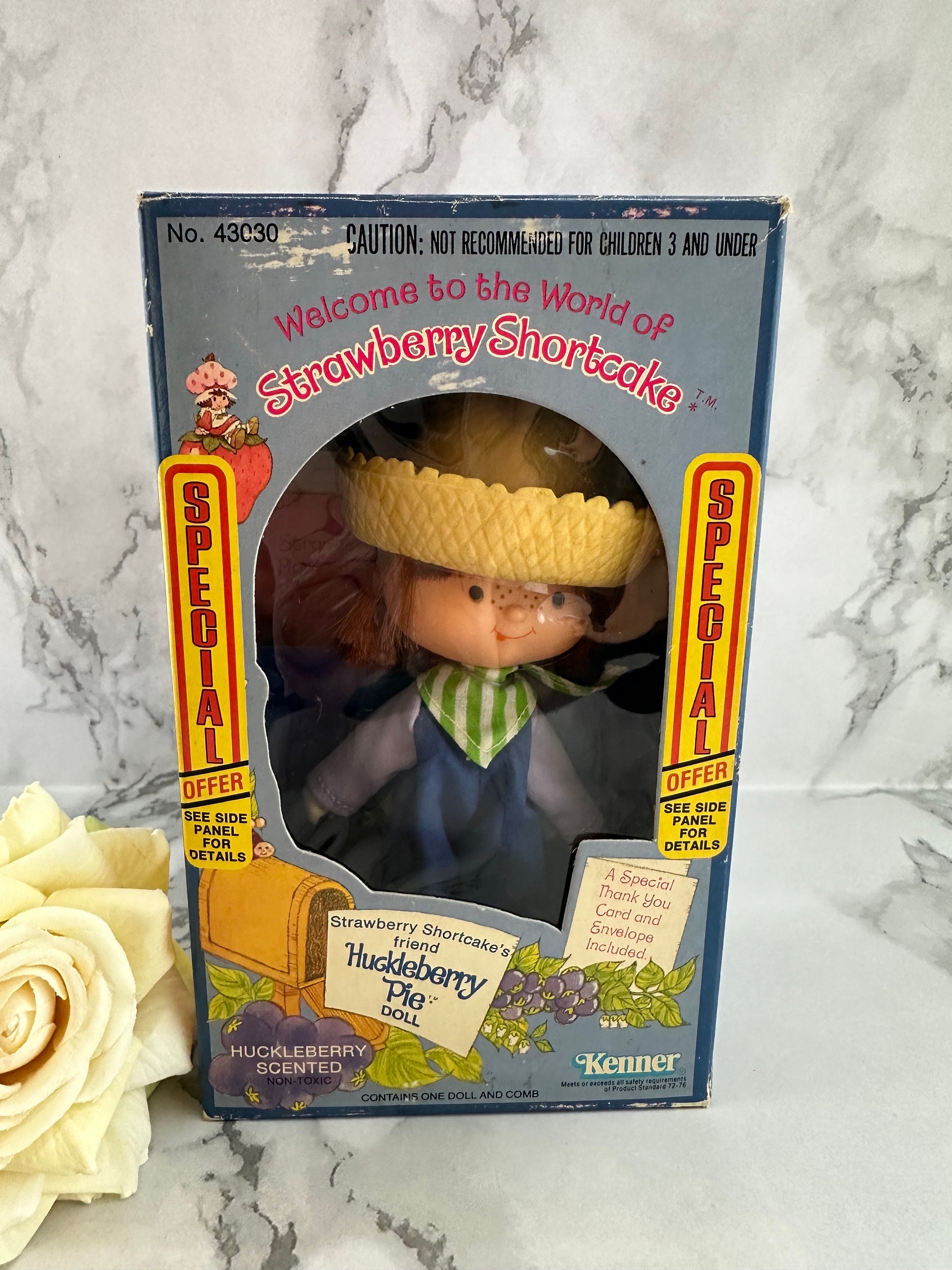 Vintage 1980 Strawberry Shortcake Doll in Box. Huckleberry Pie. Rare ...