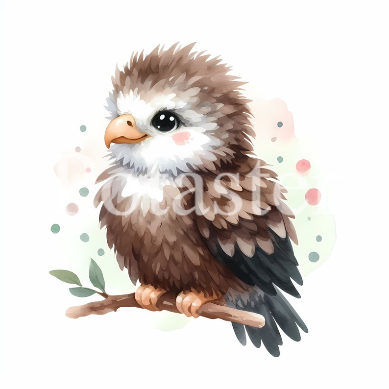 5 Cute Eagle Clipart Eagle Watercolor Clipart Cute Watercolor Aquarel ...