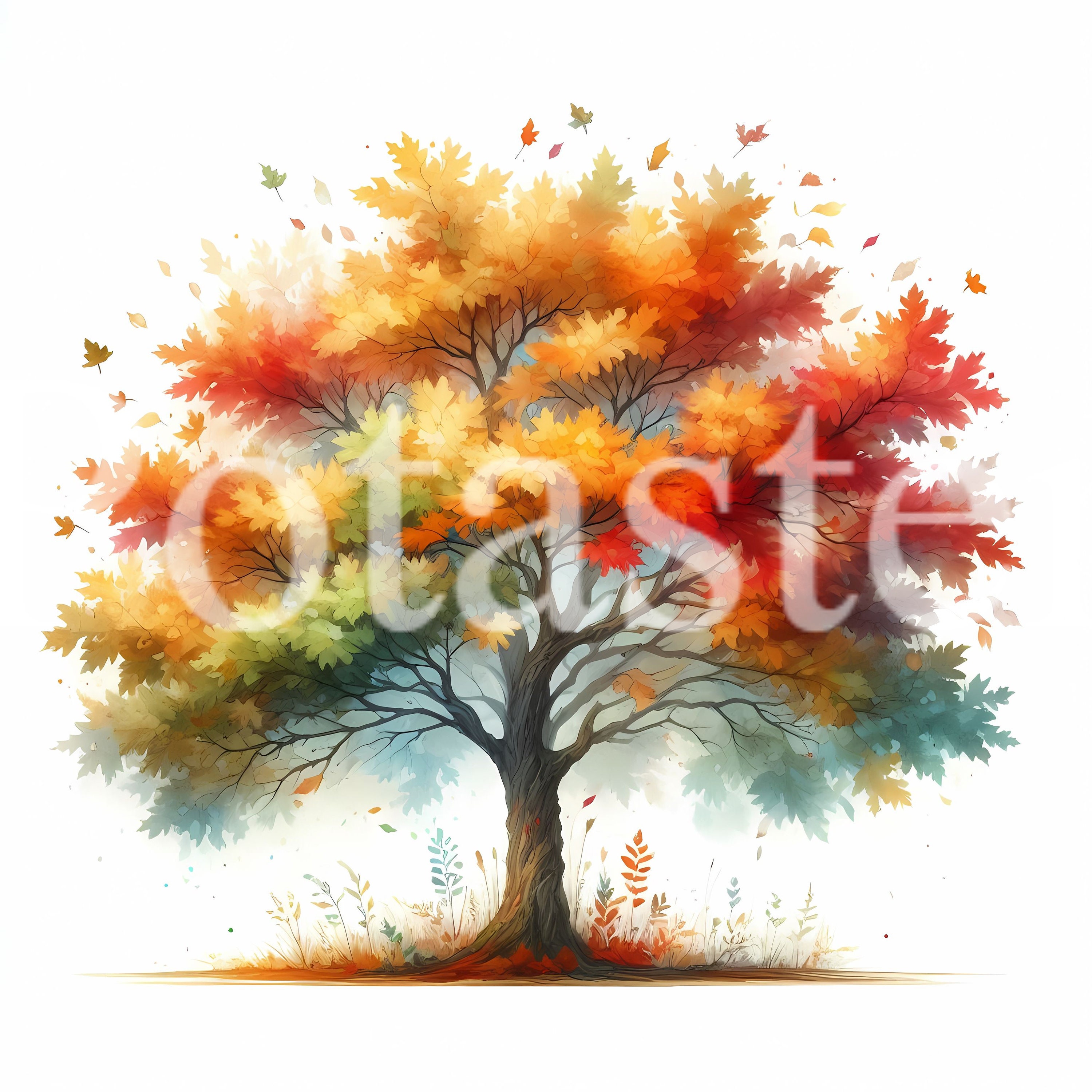 5 Oak Tree Clipart Oak Clipart Autumn Oak Printable Watercolor Clipart ...
