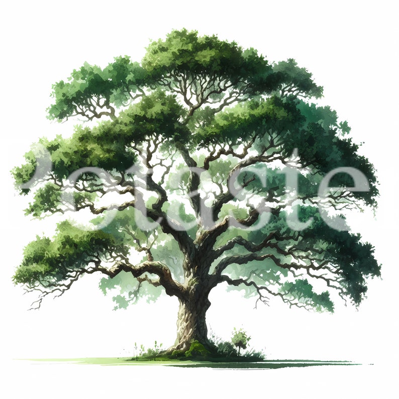5 Oak Tree Clipart Green Oak Tree Green Summer Tree Spring Tree Digital ...