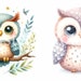 14 Cute Owl Clipart Owl Watercolor Clipart Cute Watercolor Aquarel Owl ...