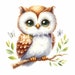 14 Cute Owl Clipart Owl Watercolor Clipart Cute Watercolor Aquarel Owl ...