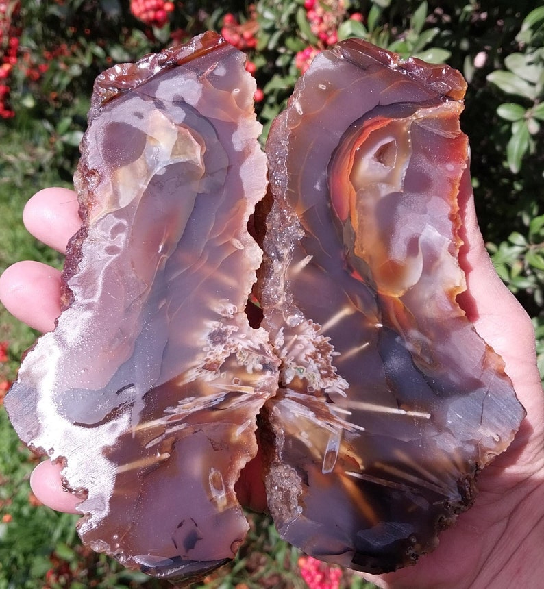Rare Turkish Red Fox Stick Agate Pair *wet Shot* - Etsy
