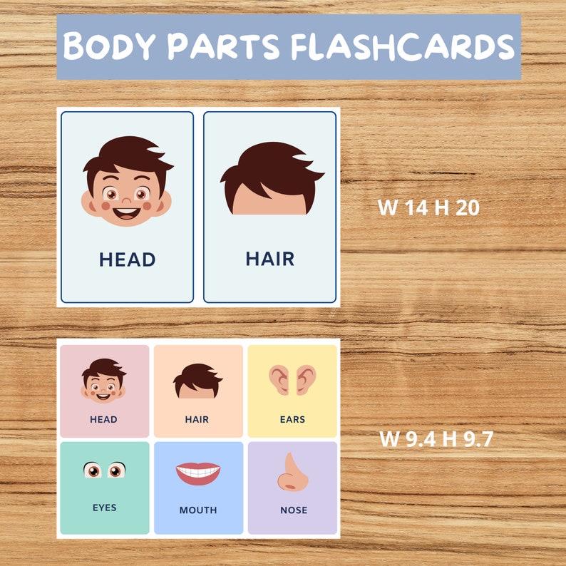 Body Parts Flashcards for Kids Printable Anatomy Activities Educational ...