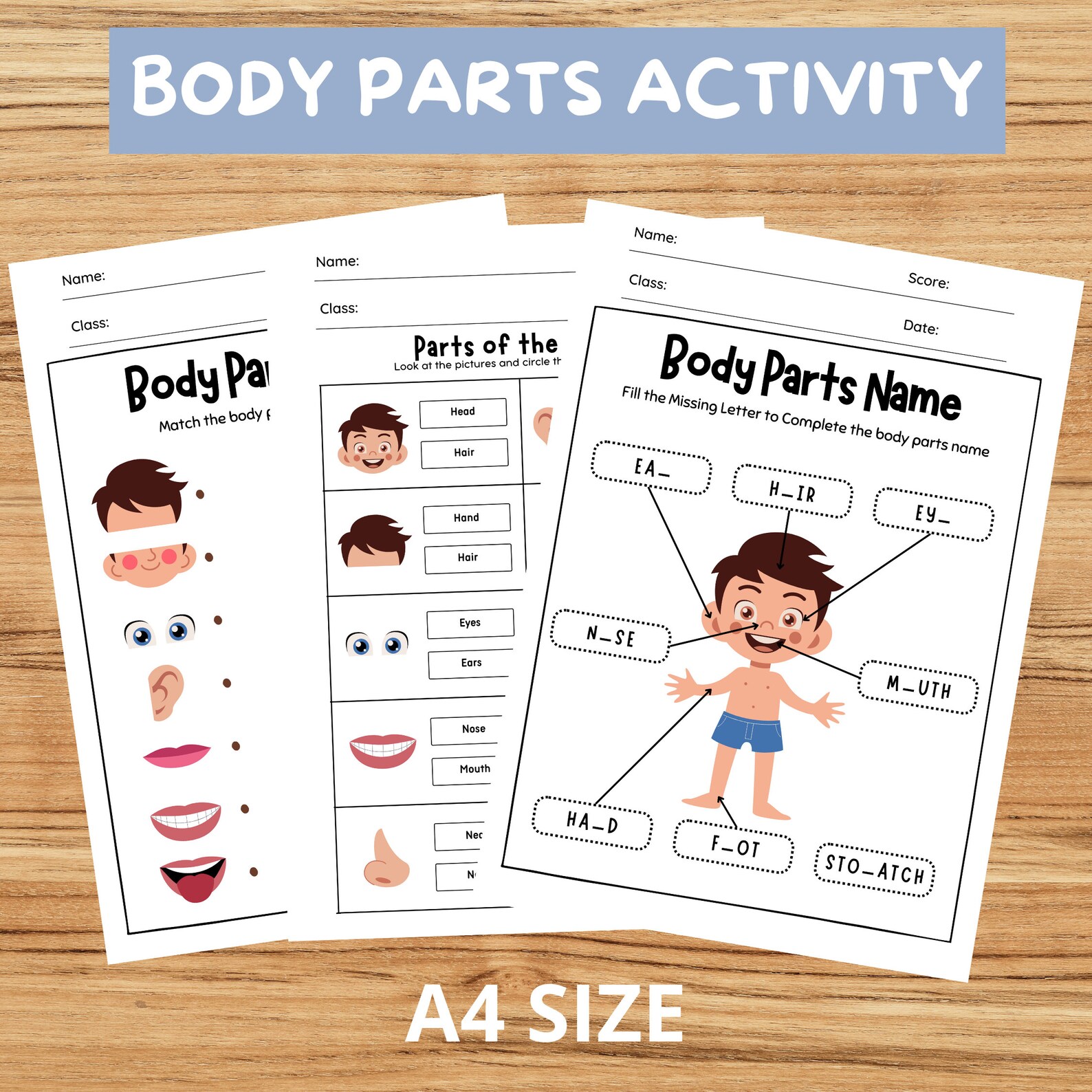 Body Parts Flashcards for Kids Printable Anatomy Activities Educational ...